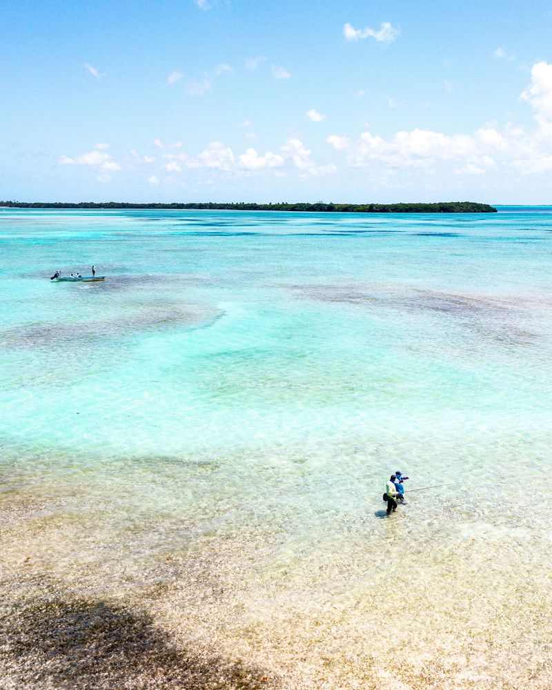 An Introduction to Mexico's Punta Allen Fishing Club (Updated Oct 2024 ...